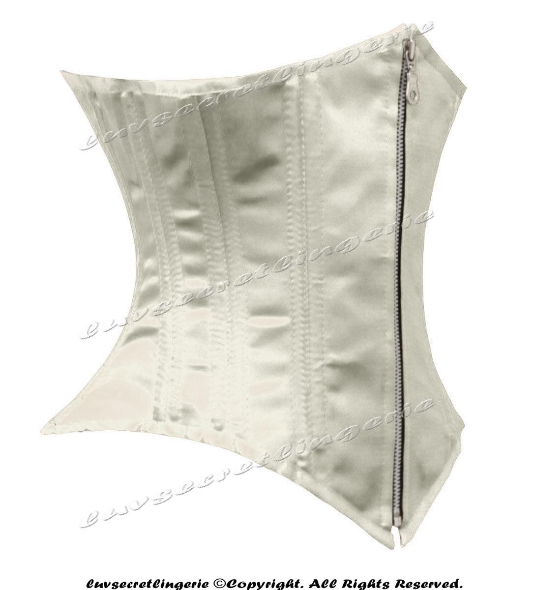 Luvsecretlingerie Heavy Duty 24 Double Steel Boned Waist Training Tight ...